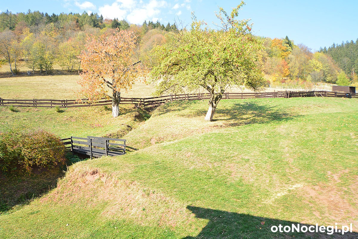 Agroturystyka Arkadia, Głuszyca [rezerwuj taniej] - otonoclegi.pl